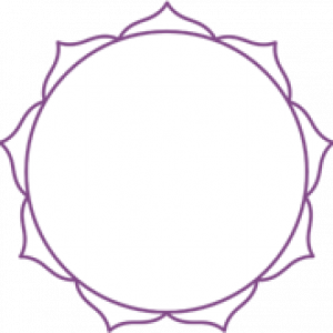 Anleitungsbuch - Sanjeevini