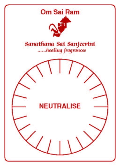 Inhalte - Sanjeevini