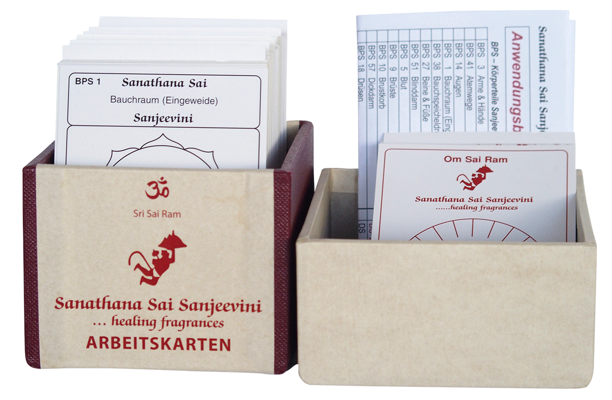 Einführung - Sanjeevini